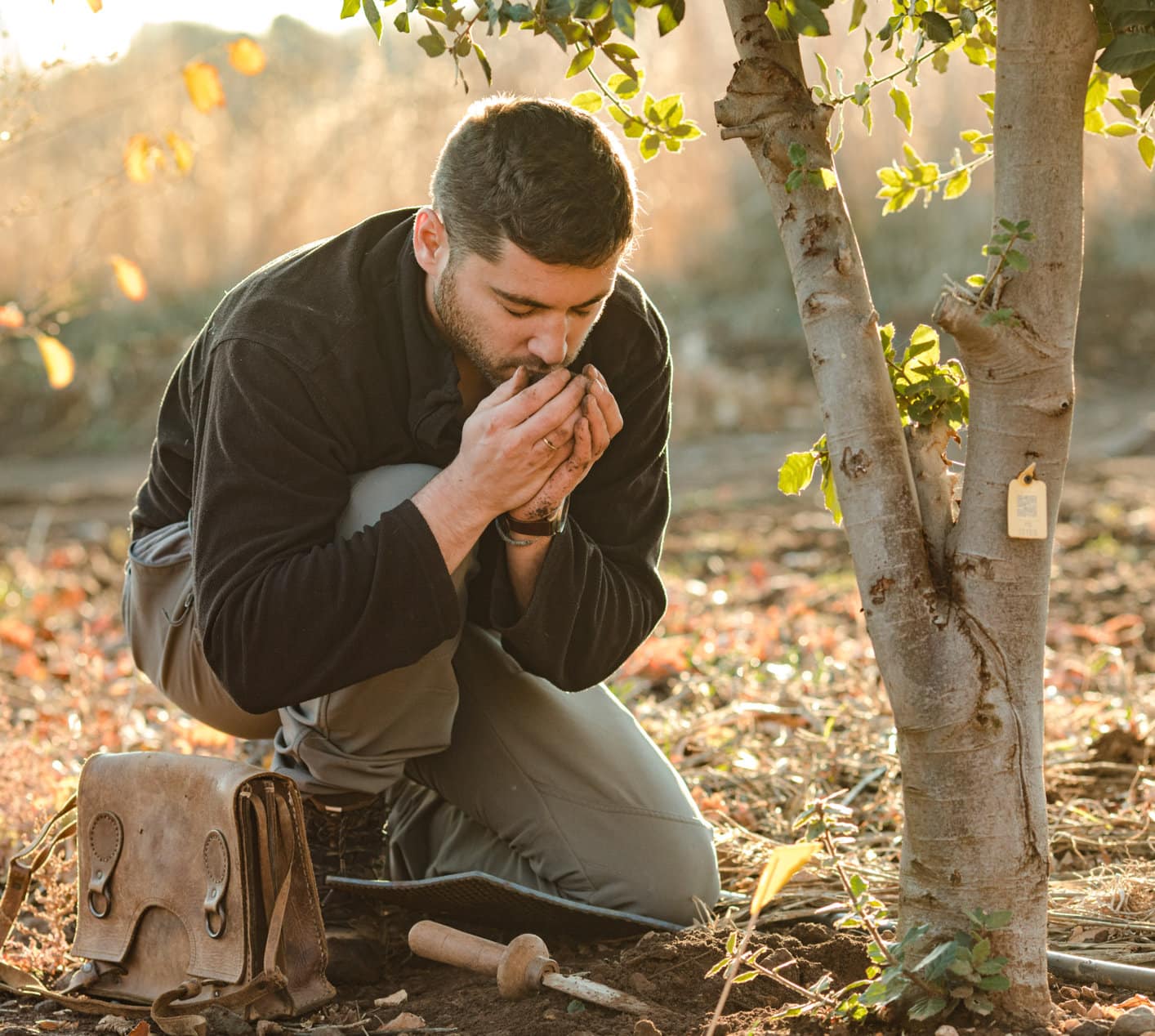 Ilsar Mediterranean Truffles